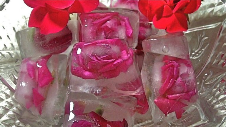 Fresh Floral Ice Cubes ( Roses In Ice)